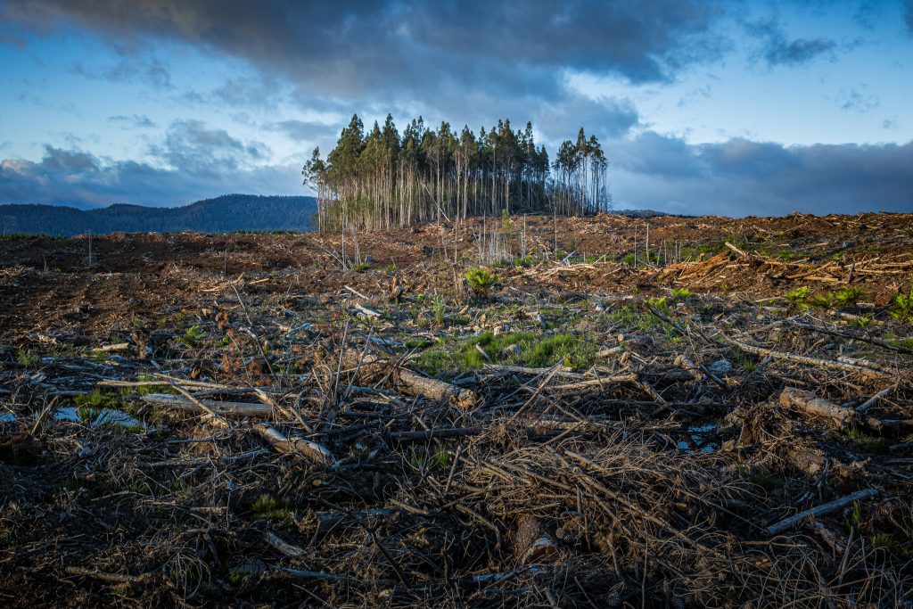 Schimbari climatice vs incalzirea globala: cauze, efecte si solutii ...